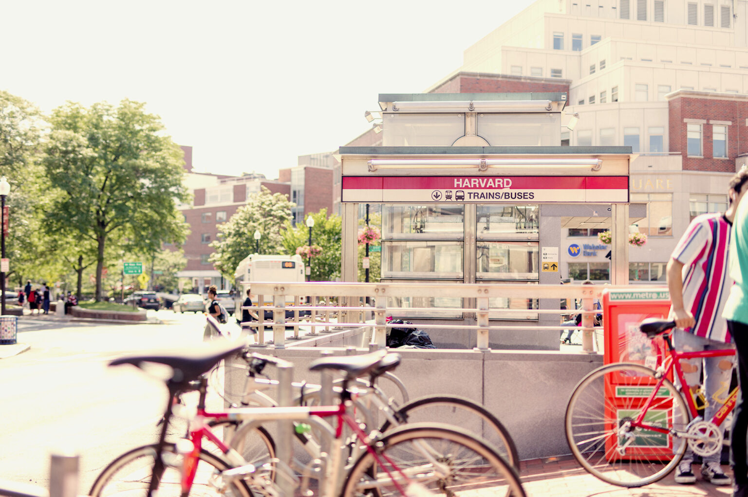 Take a Chance: Advice for Future Harvard Summer School Students ...