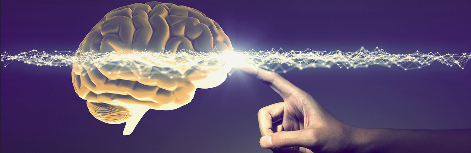 Psychology & Neuroscience Summer Program for High School Students | Harvard