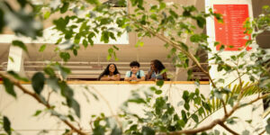 Secondary School Program - Harvard Summer School
