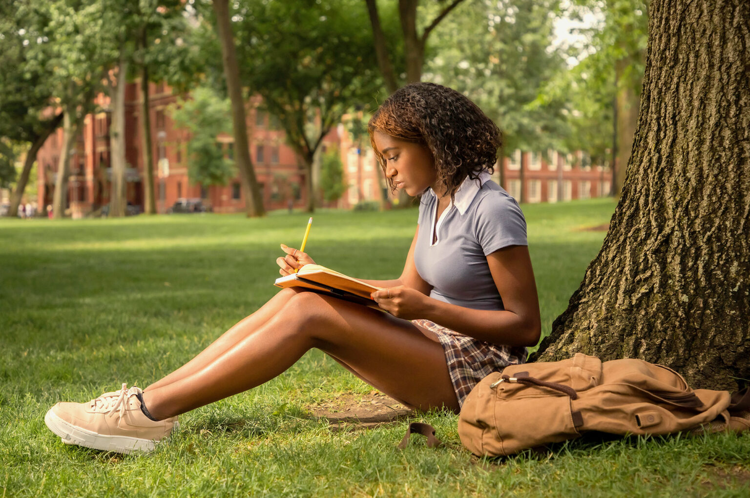Pre College Summer School Program For High School Students Harvard Pre College Summer School Program For High School Students Harvard