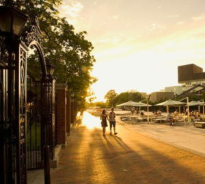 Course Registration - Harvard Summer School